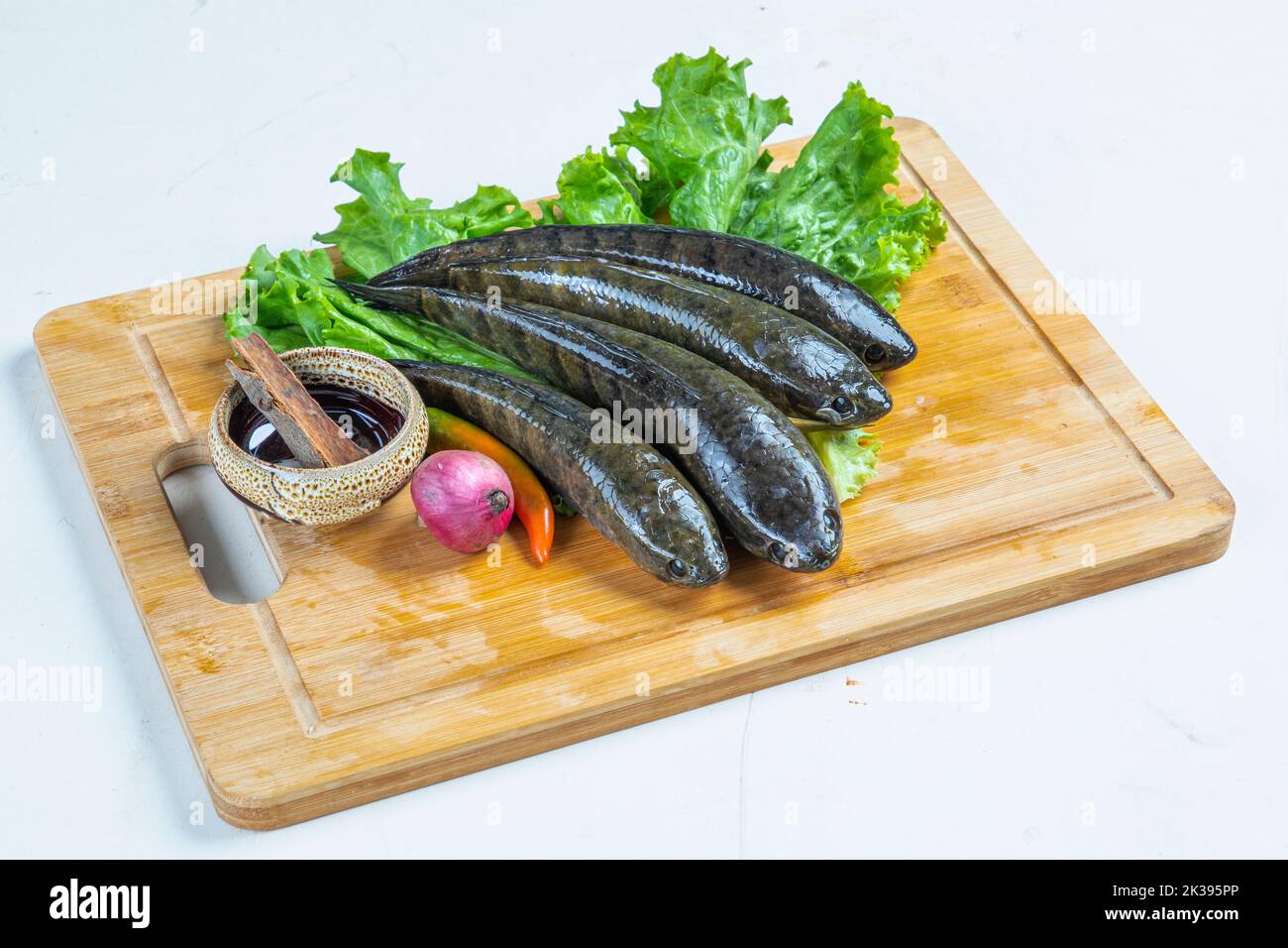 Takifish hi-res stock photography and images - Alamy