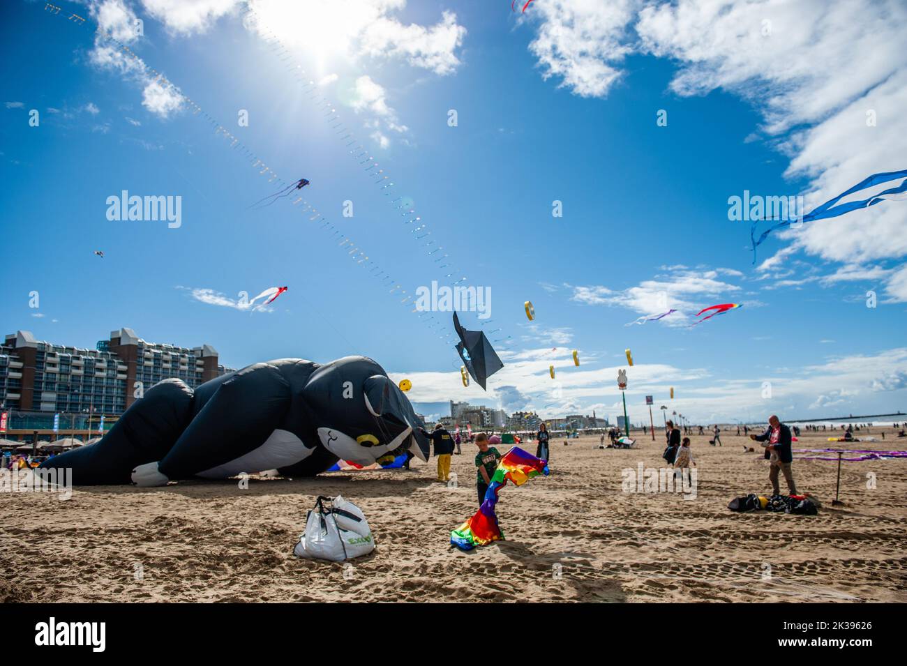 People prepare their big kites for flying. The International Kite ...