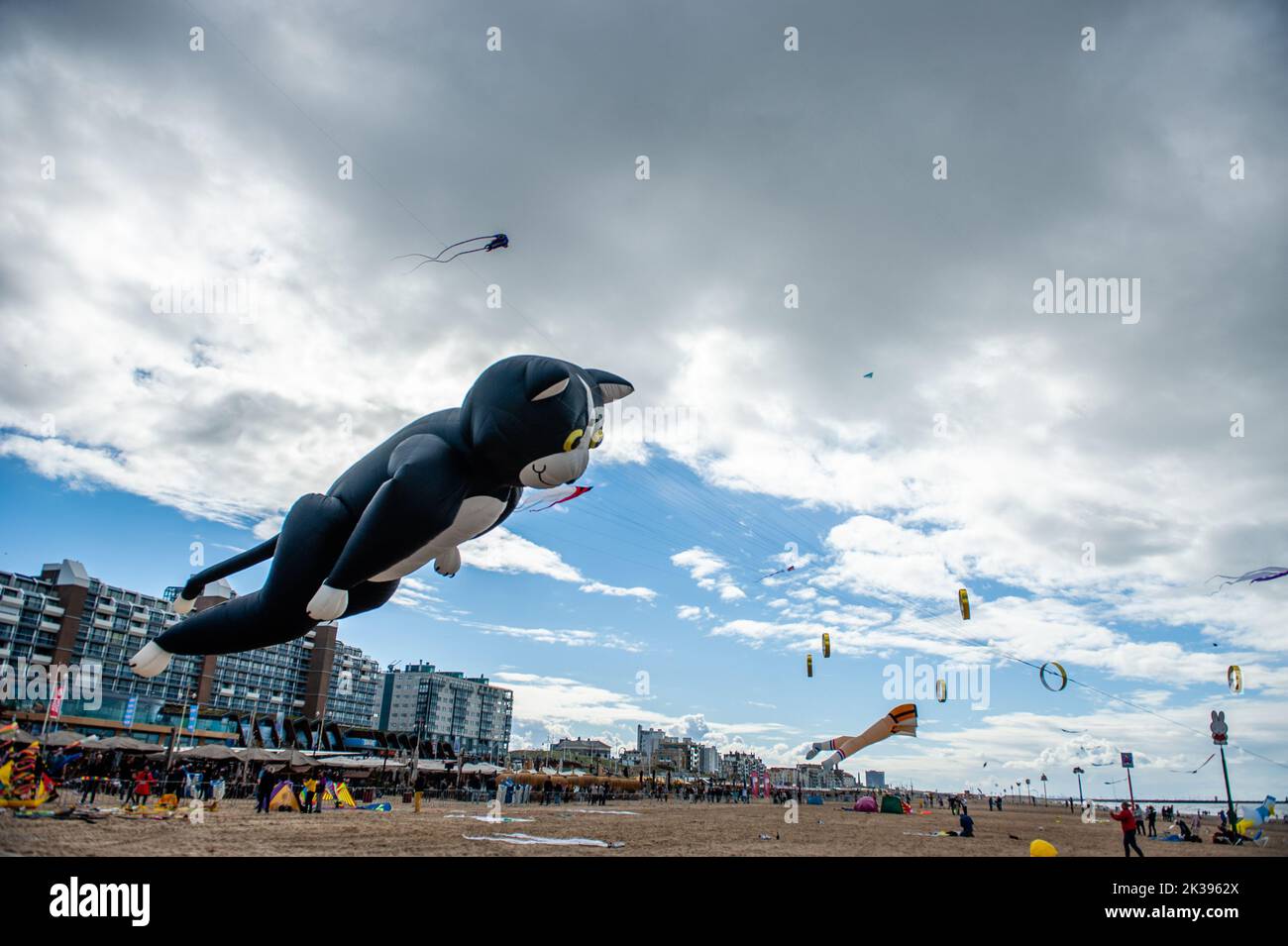 A huge kite in the shape of a cat is seen flying in the sky surrounded ...
