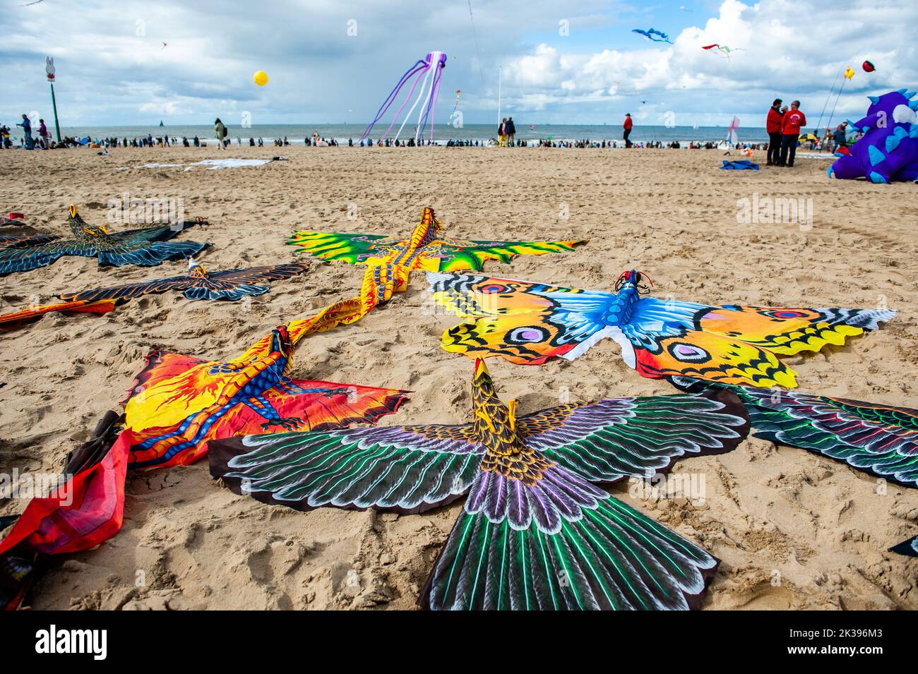 A view of hand made kites laying on the beach. The International Kite ...