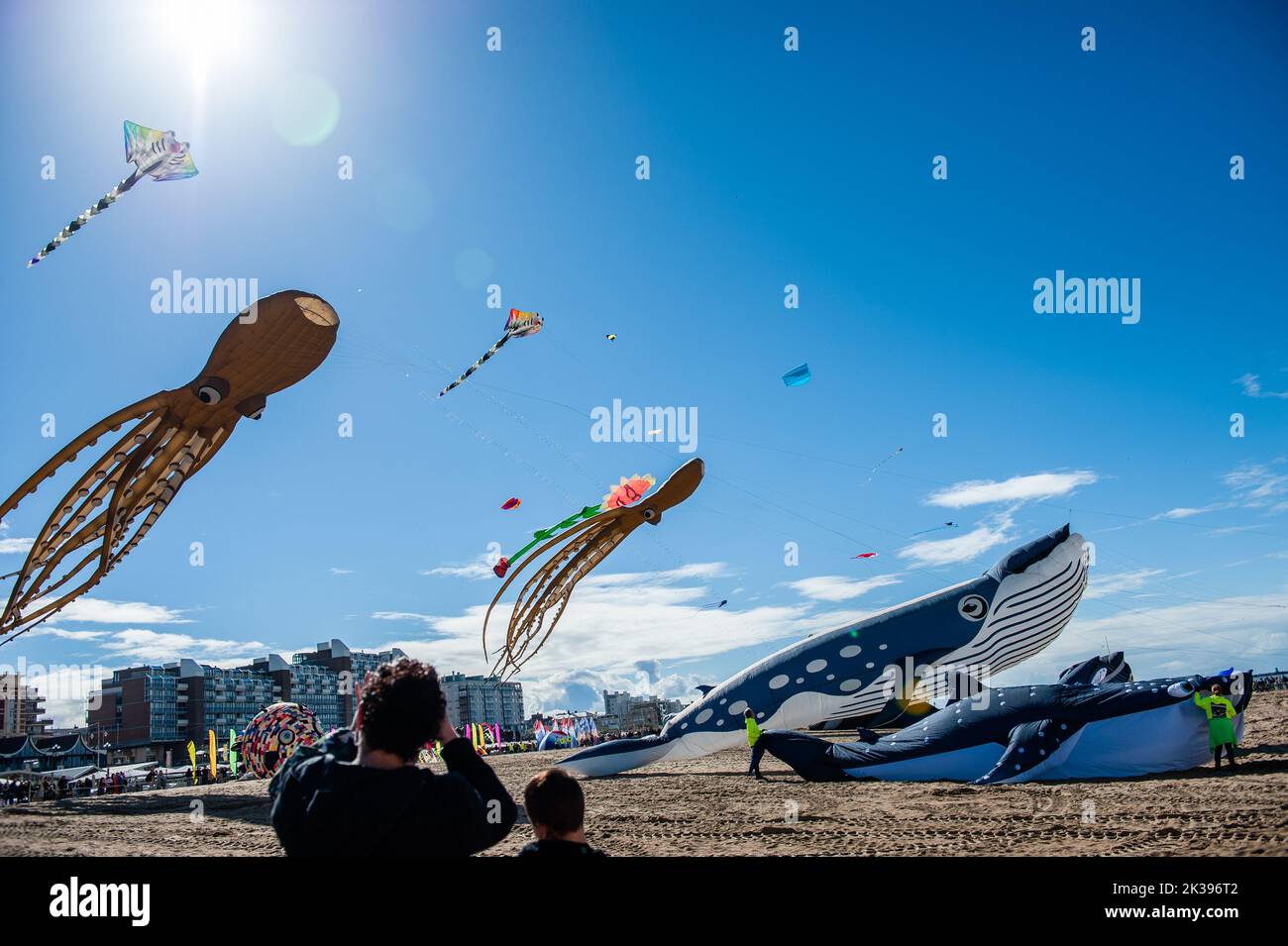 A woman takes a photo of big kites in the shape of marine animals. The ...