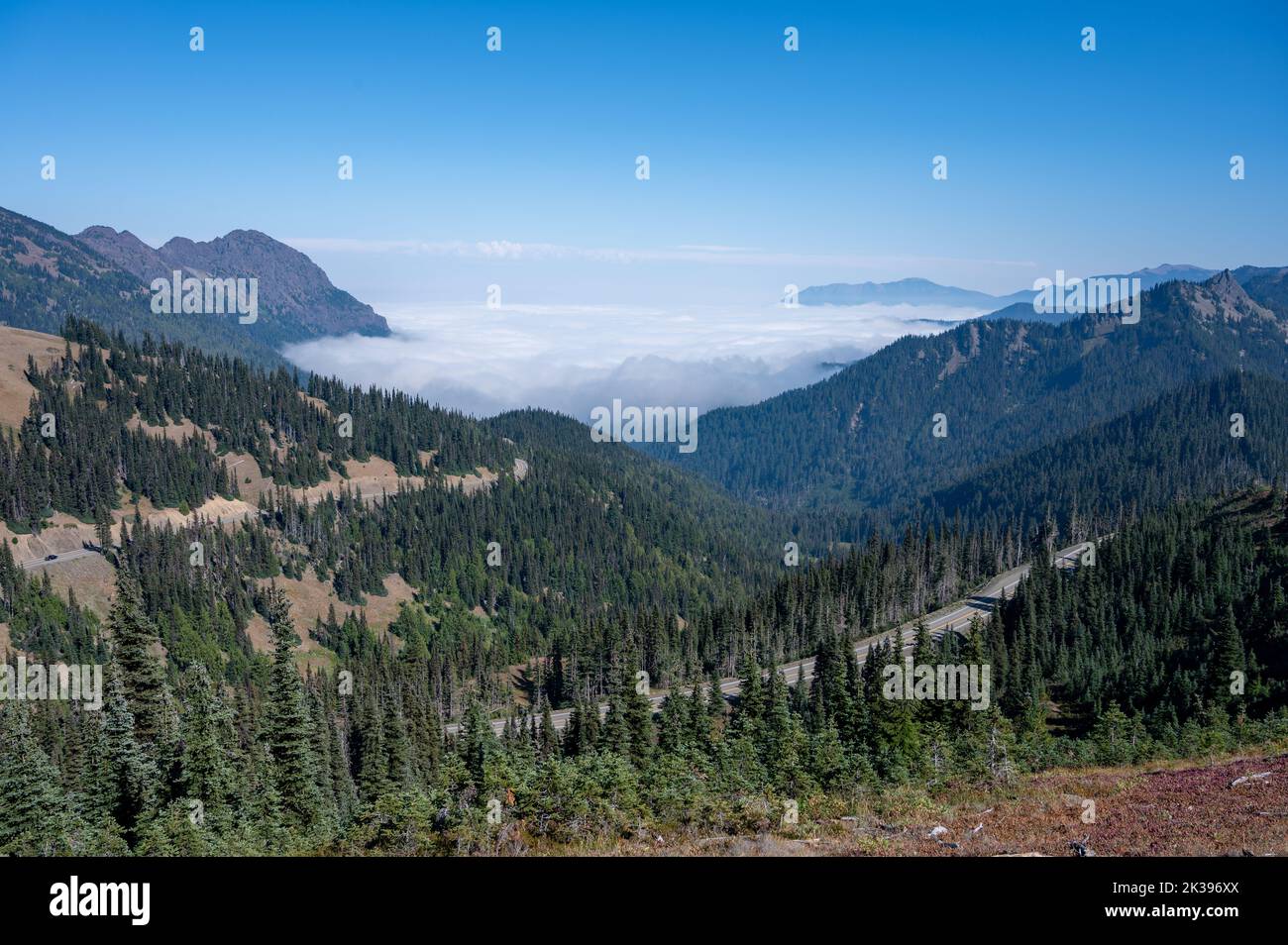 Clouds filling valley during cloud inversion seen from Hurricane Ridge ...