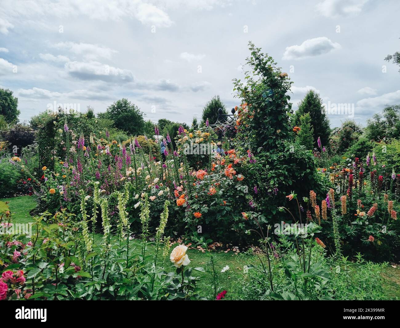 A scenic view of a botanical garden with greenery and flowers under a ...