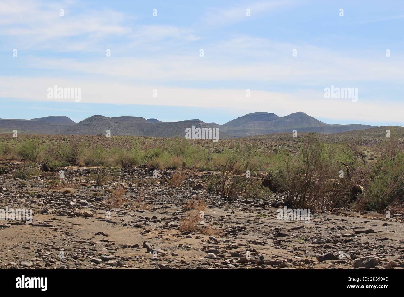 Green growth returns to rural Namibia Stock Photo - Alamy