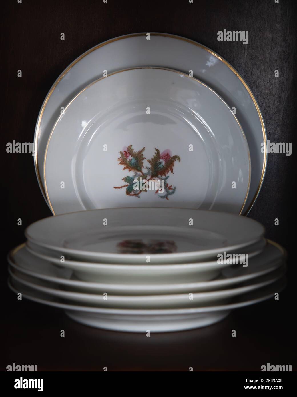 Porcelain Dinner and Dessert Plates with Flower Detail and Gold Trip ...