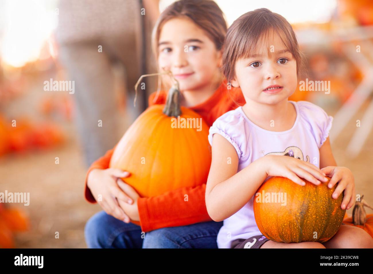 Adorable Little Girls Holding Pumpkins At A Pumpkin Patch Stock Photo ...