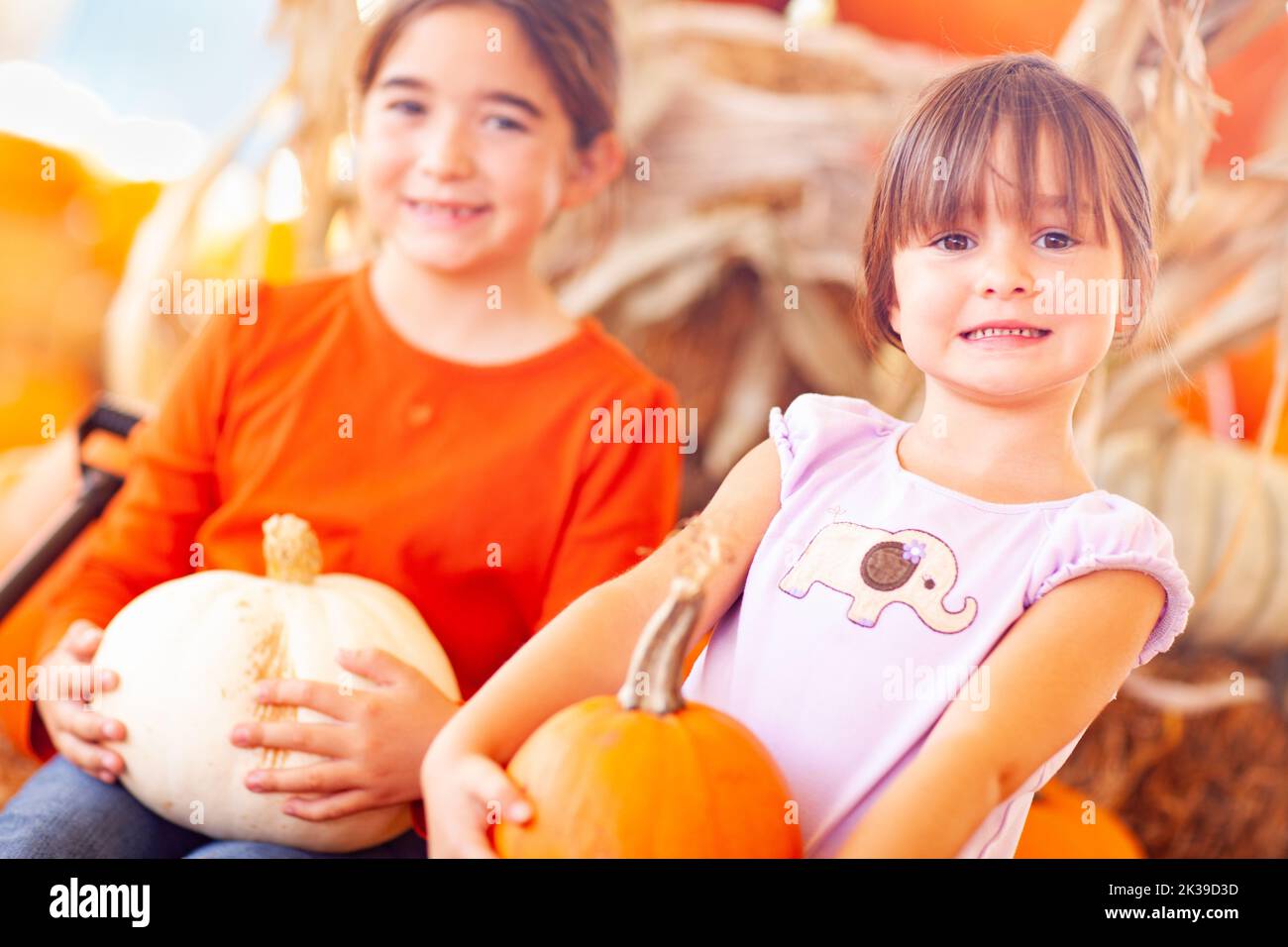 Adorable Little Girls Holding Pumpkins At A Pumpkin Patch Stock Photo ...