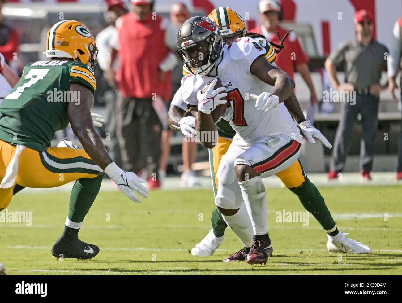 Quay walker 2022 hi-res stock photography and images - Alamy