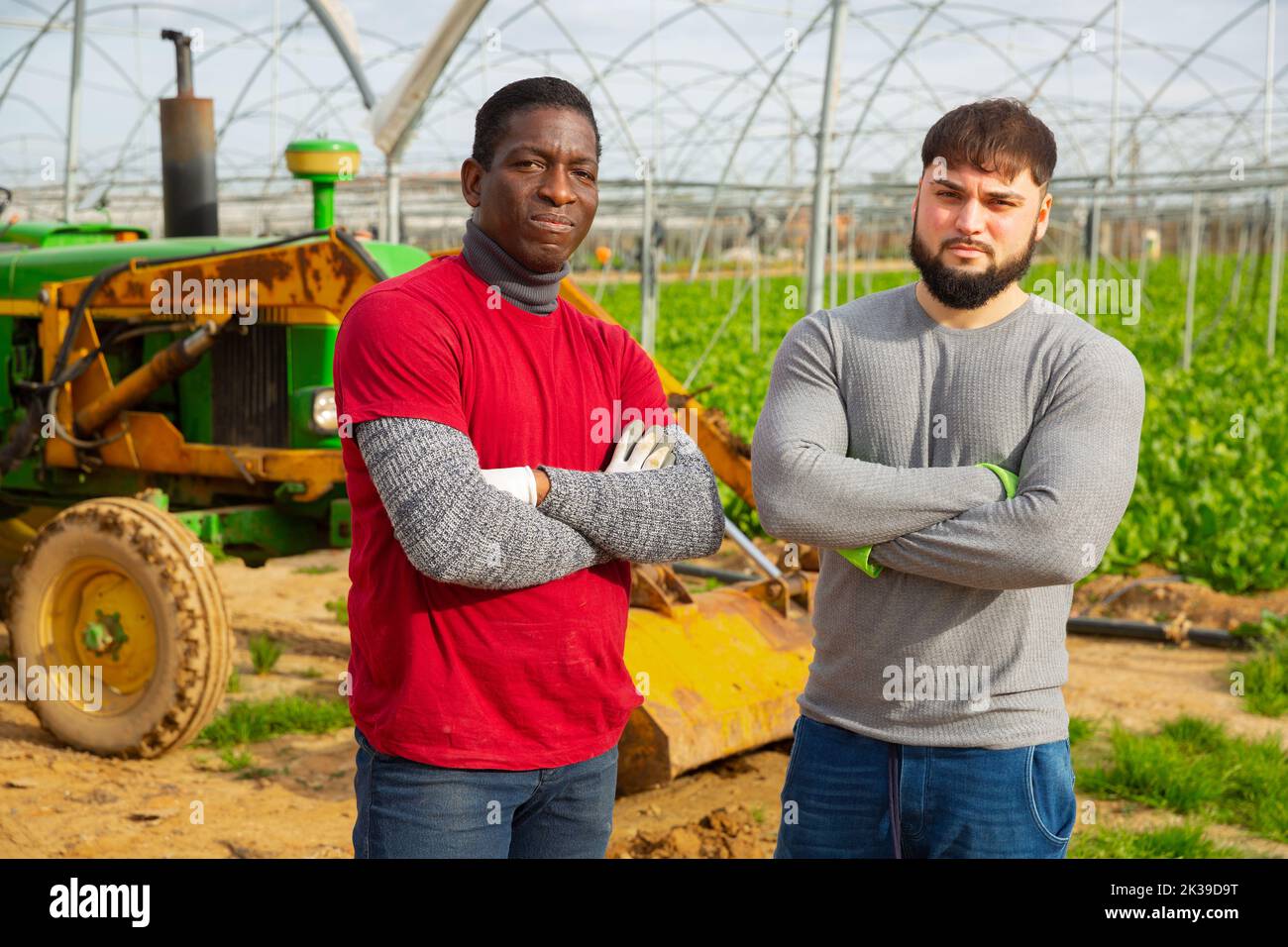 Portrait of two professional gardeners standing near tractor in ...