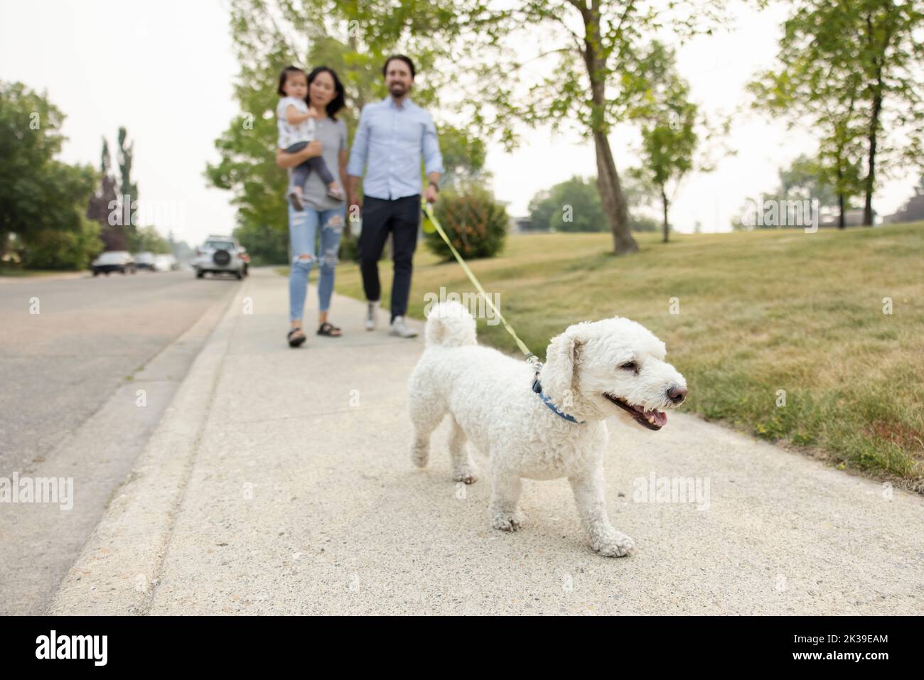 Father and daughter walking dog hi-res stock photography and images - Alamy
