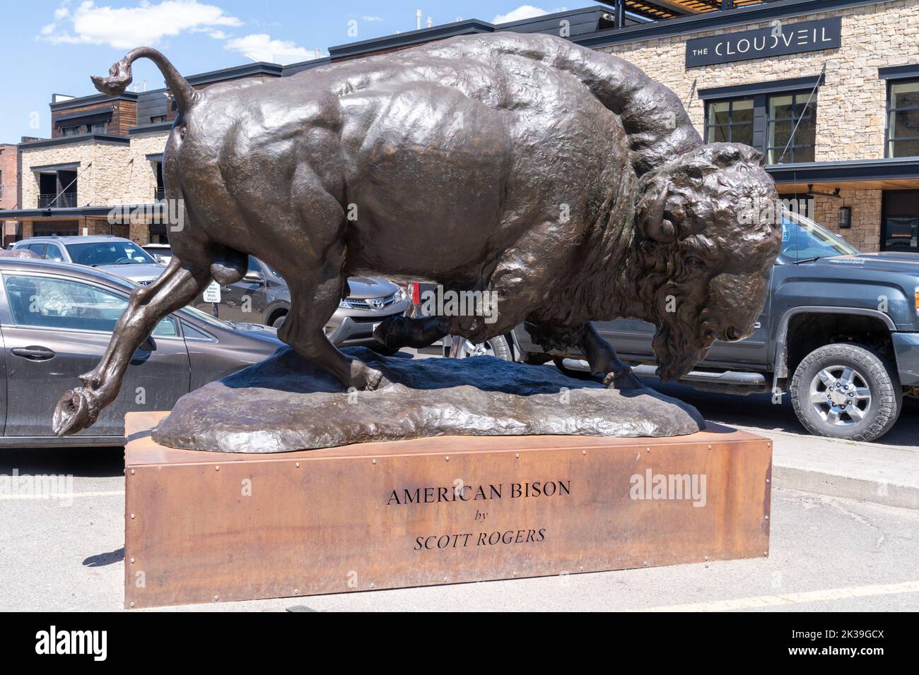 Jackson, Wyoming - July 20, 2022: American Bison by Scott Rogers ...