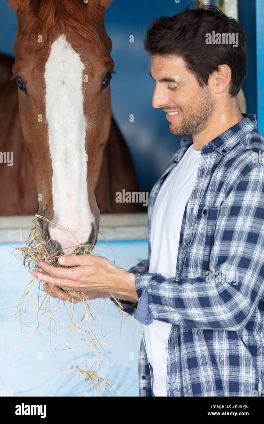 portrait of man farm worker feed the horse in stable Stock Photo - Alamy