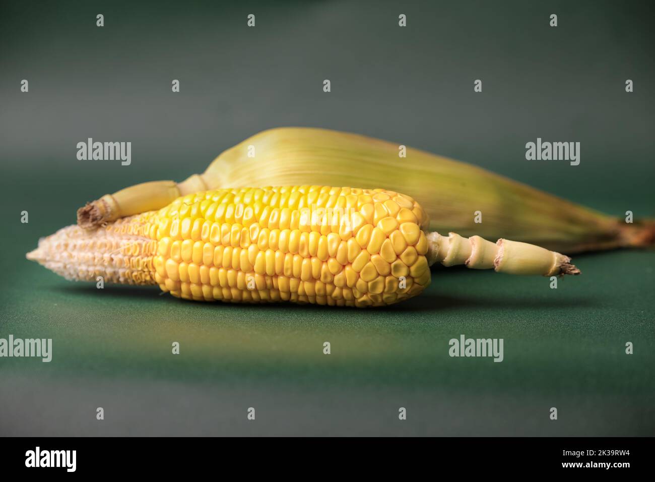 A closeup of corn cob isolated on a white background Stock Photo - Alamy