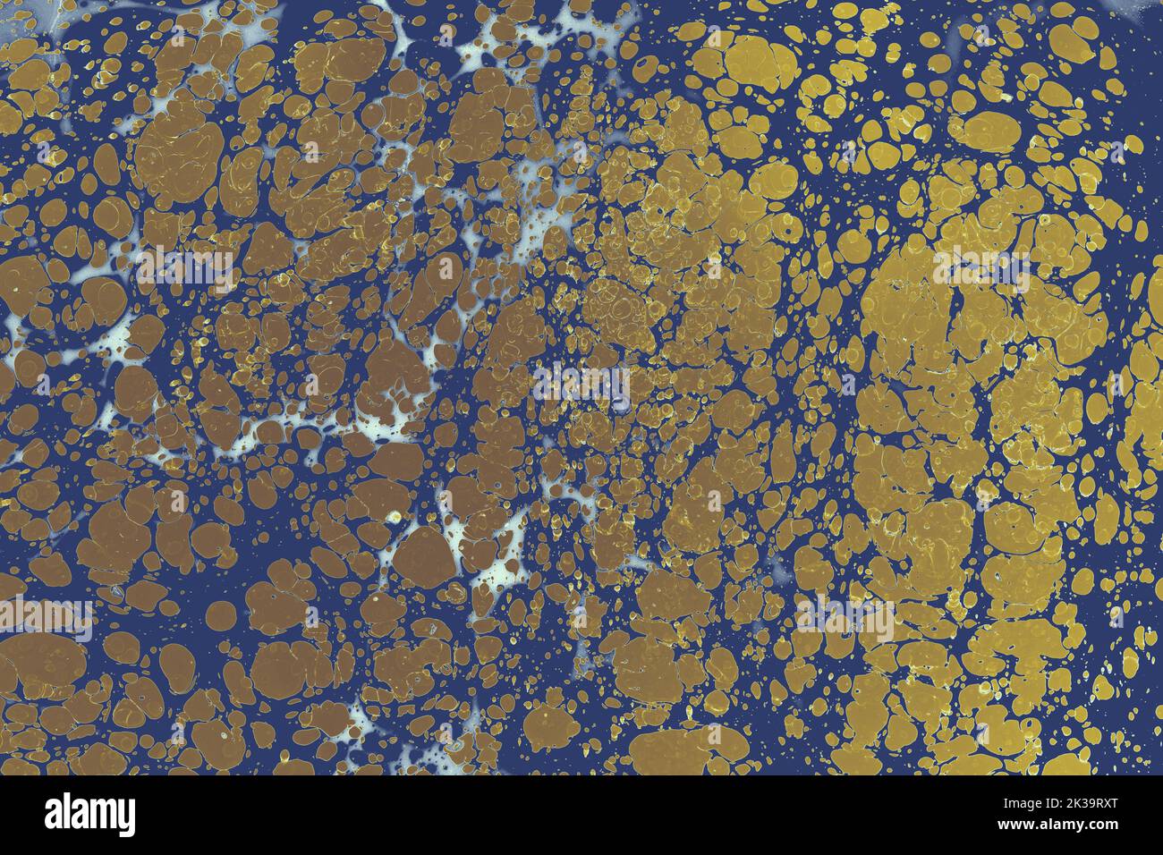 Ebru marble effect pattern design for print Stock Photo - Alamy