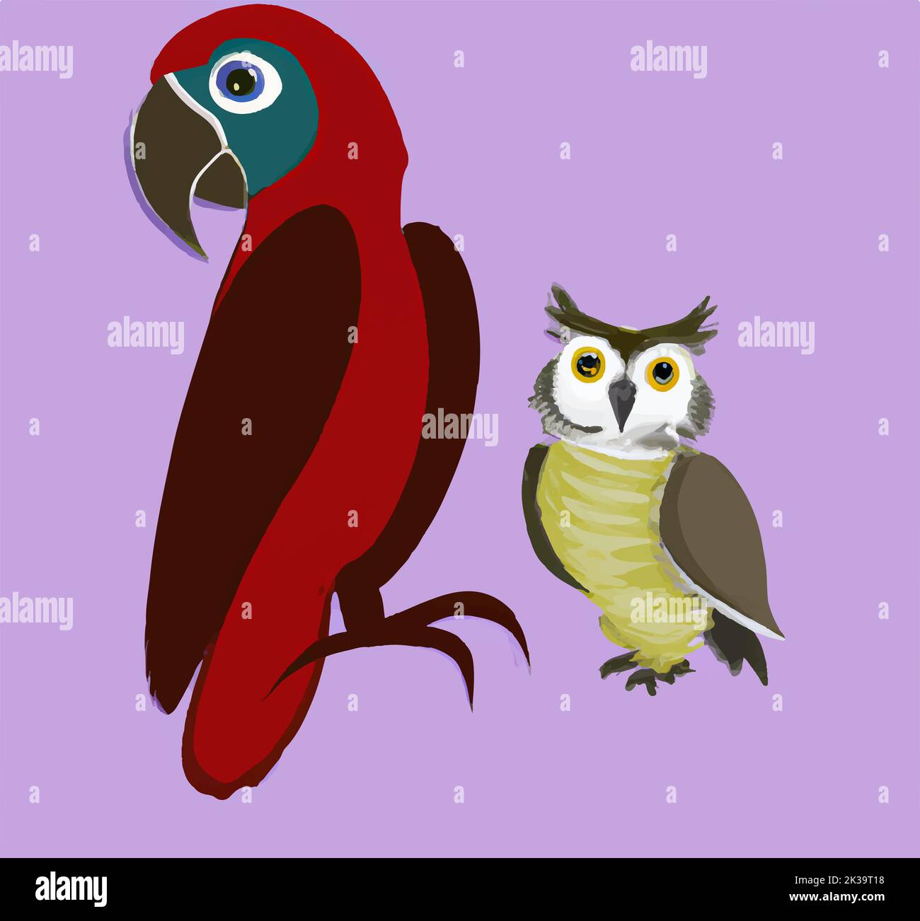 Parrot drawing hi-res stock photography and images - Alamy