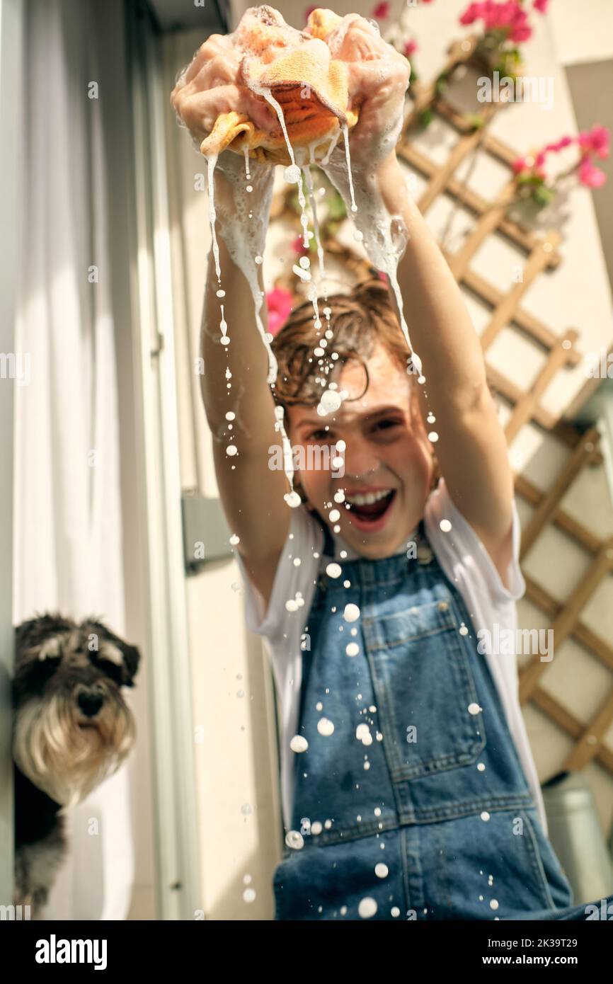 Happy boy raising wet rag with Miniature Schnauzer in balcony Stock ...