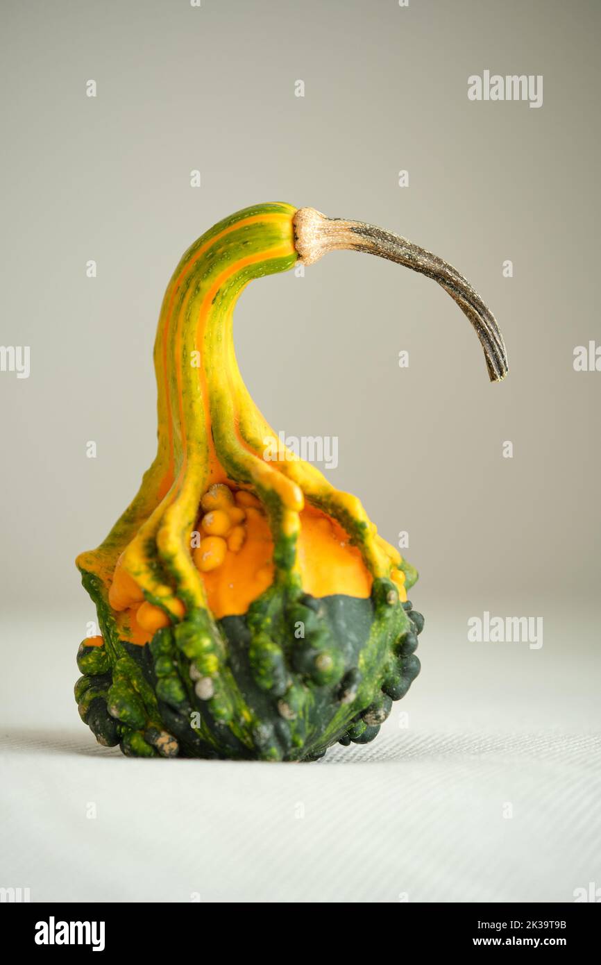 Unusual decorative hi-res stock photography and images - Alamy
