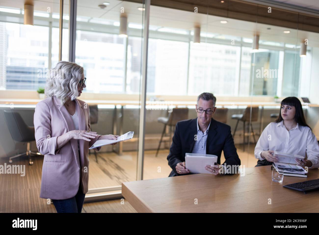Project manager reviewing business proposal at team meeting Stock Photo ... Project manager reviewing business proposal at team meeting Stock Photo ...