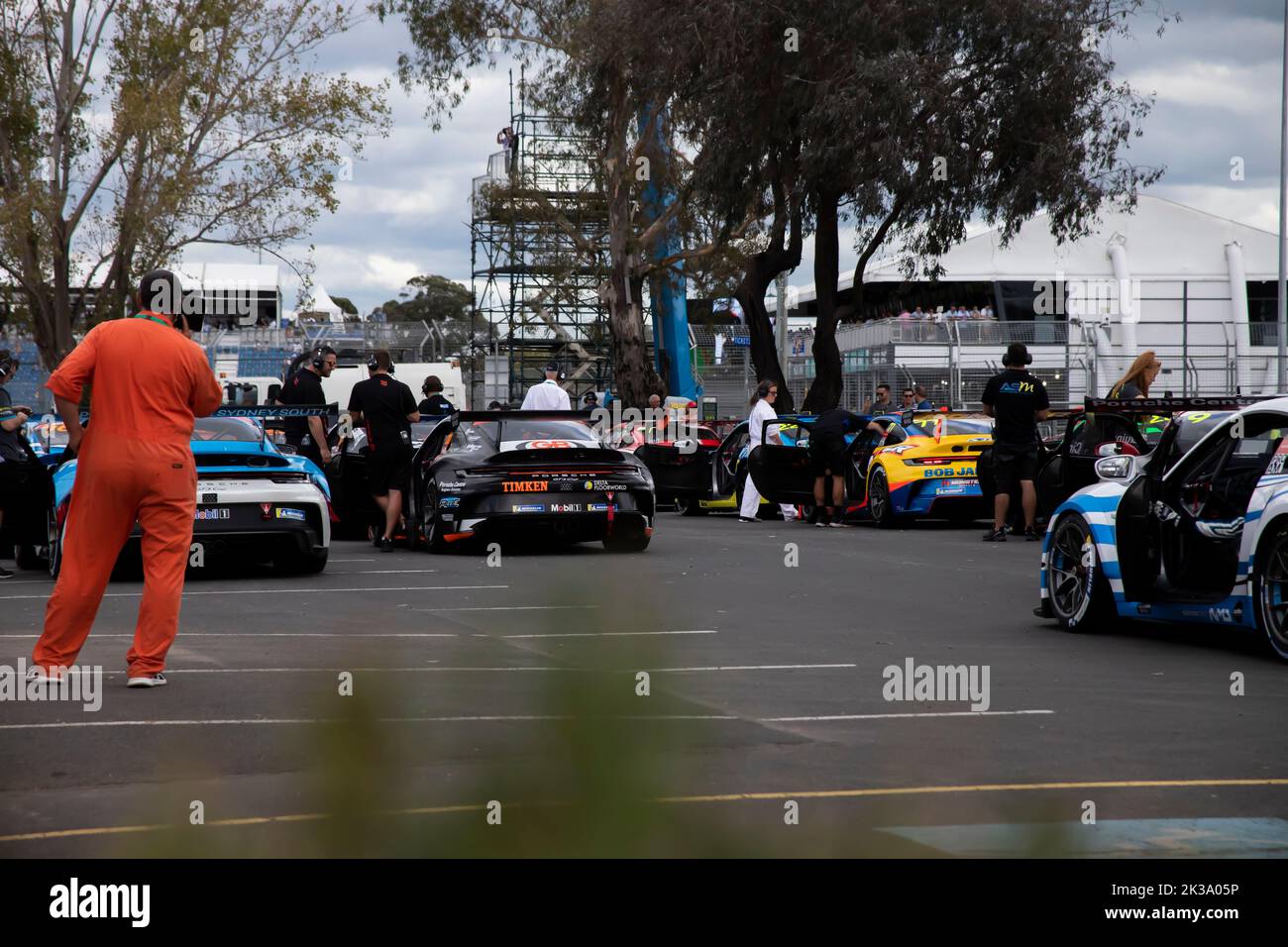 The Porsches lining up for the Carrera Cup down at Albert Park ...