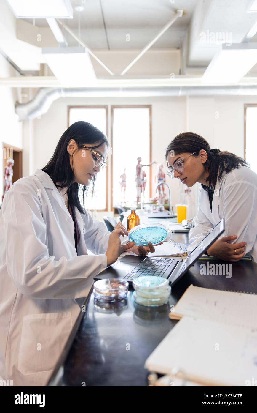 Two students working at laptop science hi-res stock photography and ...