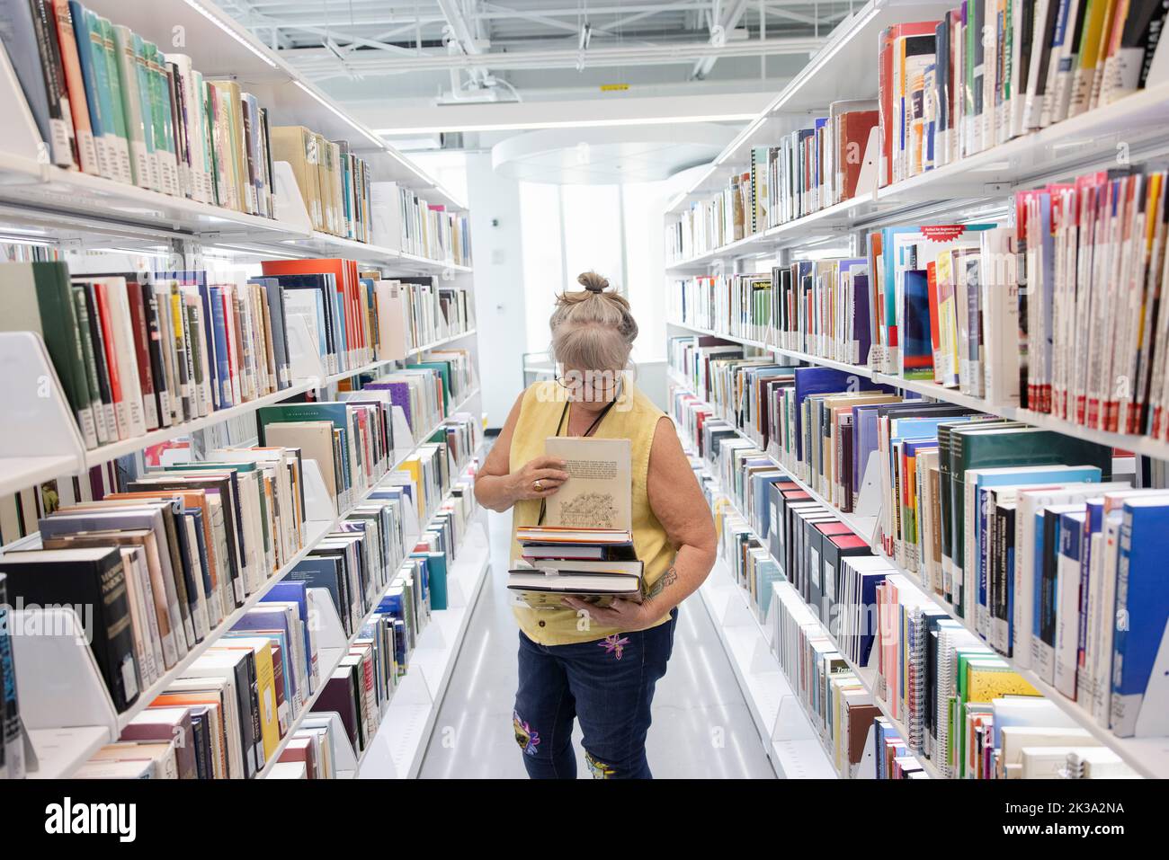 Librarian hi-res stock photography and images - Alamy
