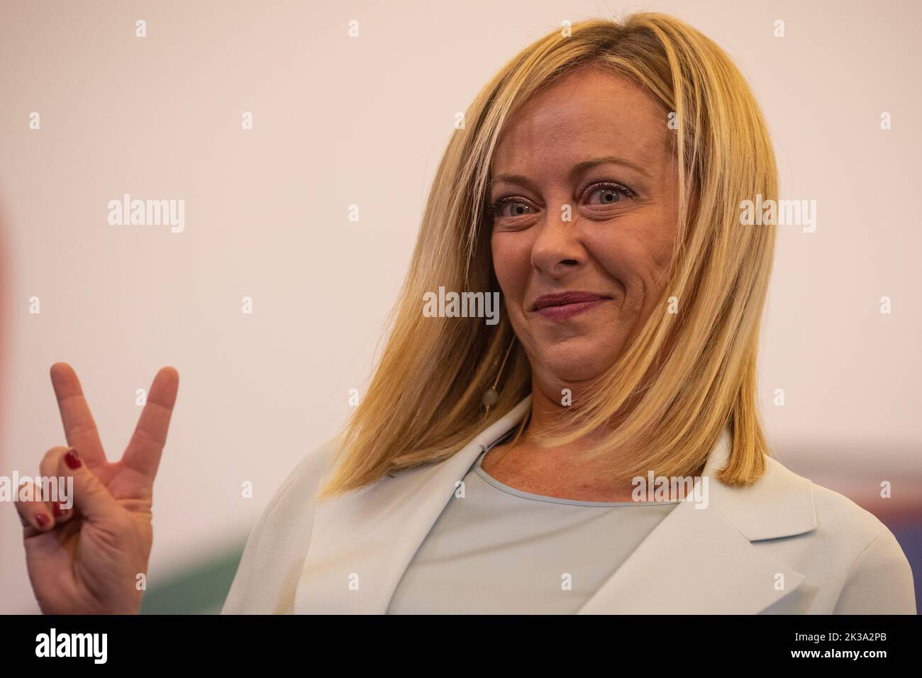 Brothers Of Italy at Frank Keith blog