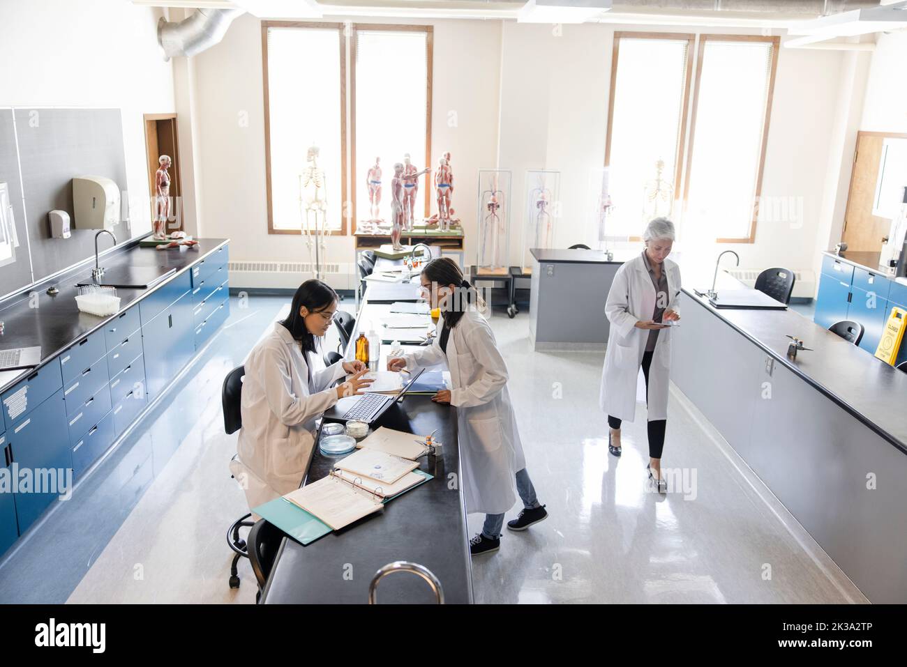 Online experiment hi-res stock photography and images - Alamy