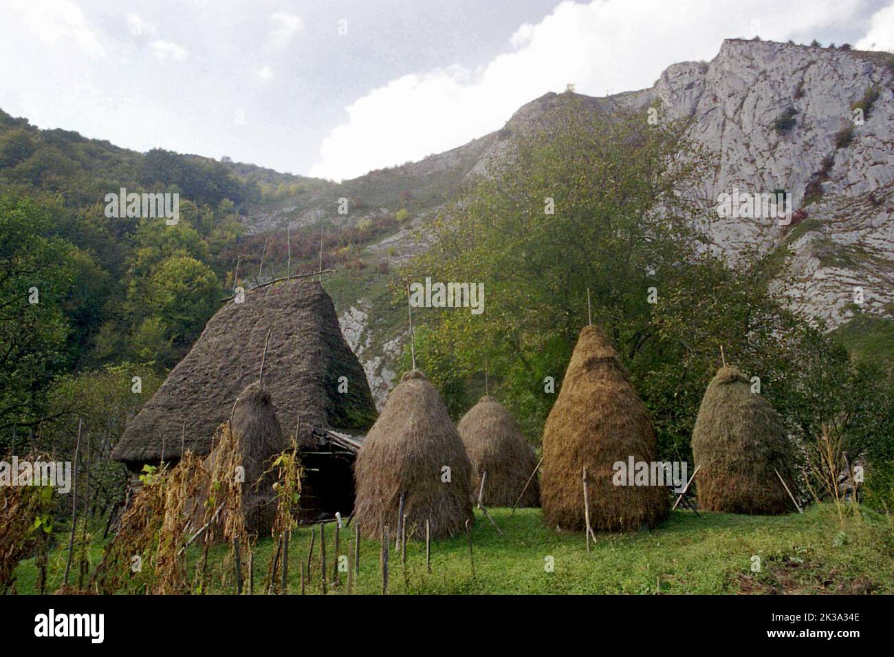 Alba County, Romania, approx. 1999. Traditional thatched straw roof ...