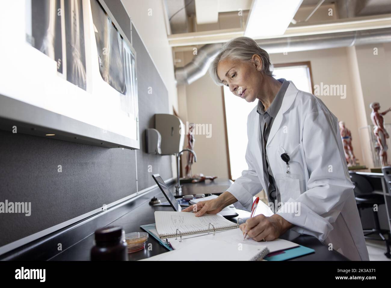 Standing holding looking down science technology hi-res stock ...