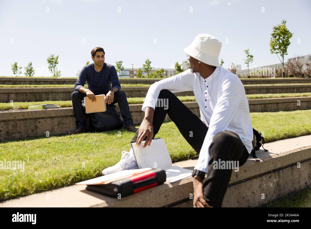 Male college students talking in grassy amphitheater on sunny campus ...