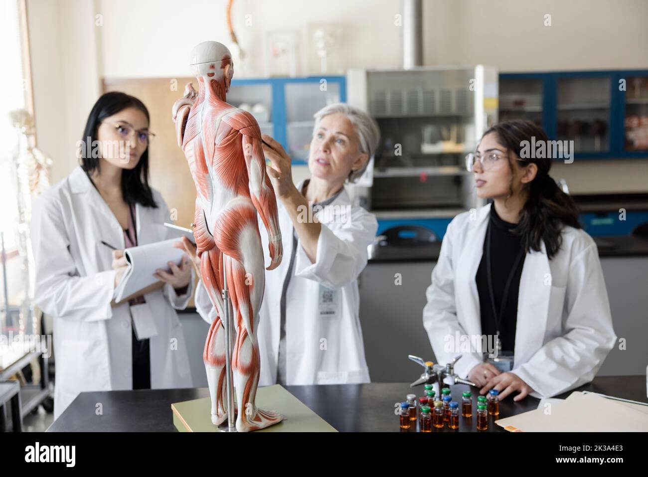 Anatomy model classroom hi-res stock photography and images - Alamy