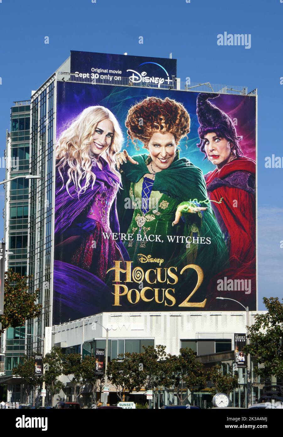 Hocus pocus bette midler hi-res stock photography and images - Alamy