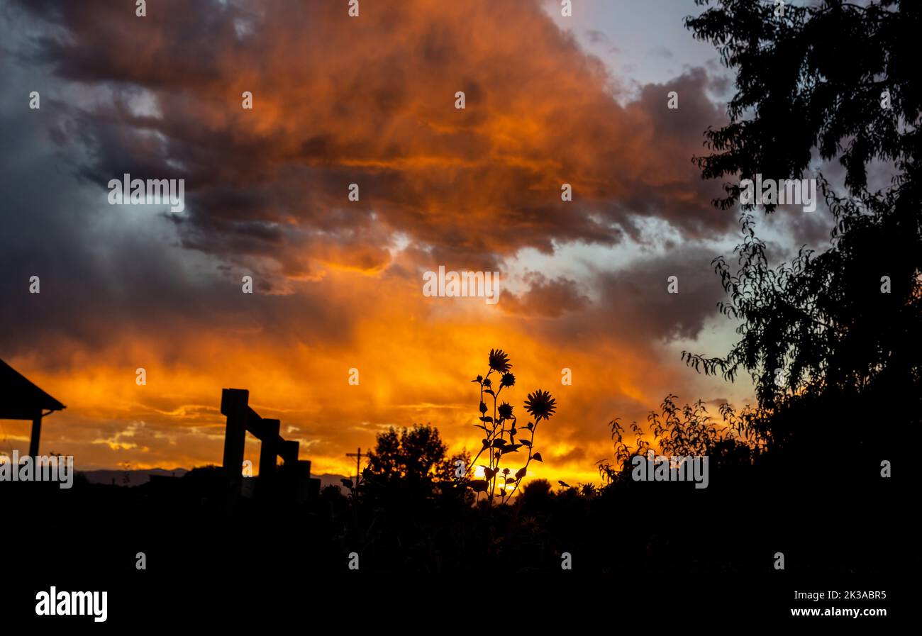 Colorado Living. Centennial, Colorado - Denver Metro Area Residential ...