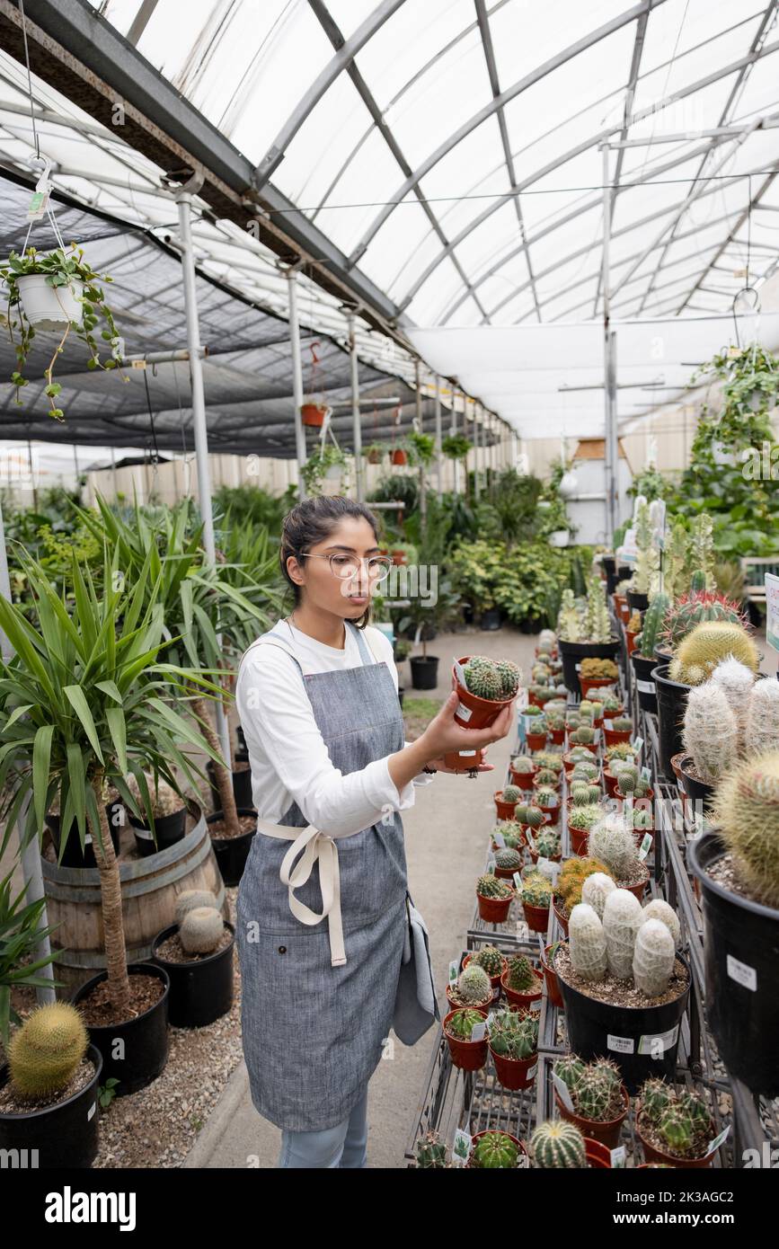 Pot worker hi-res stock photography and images - Alamy