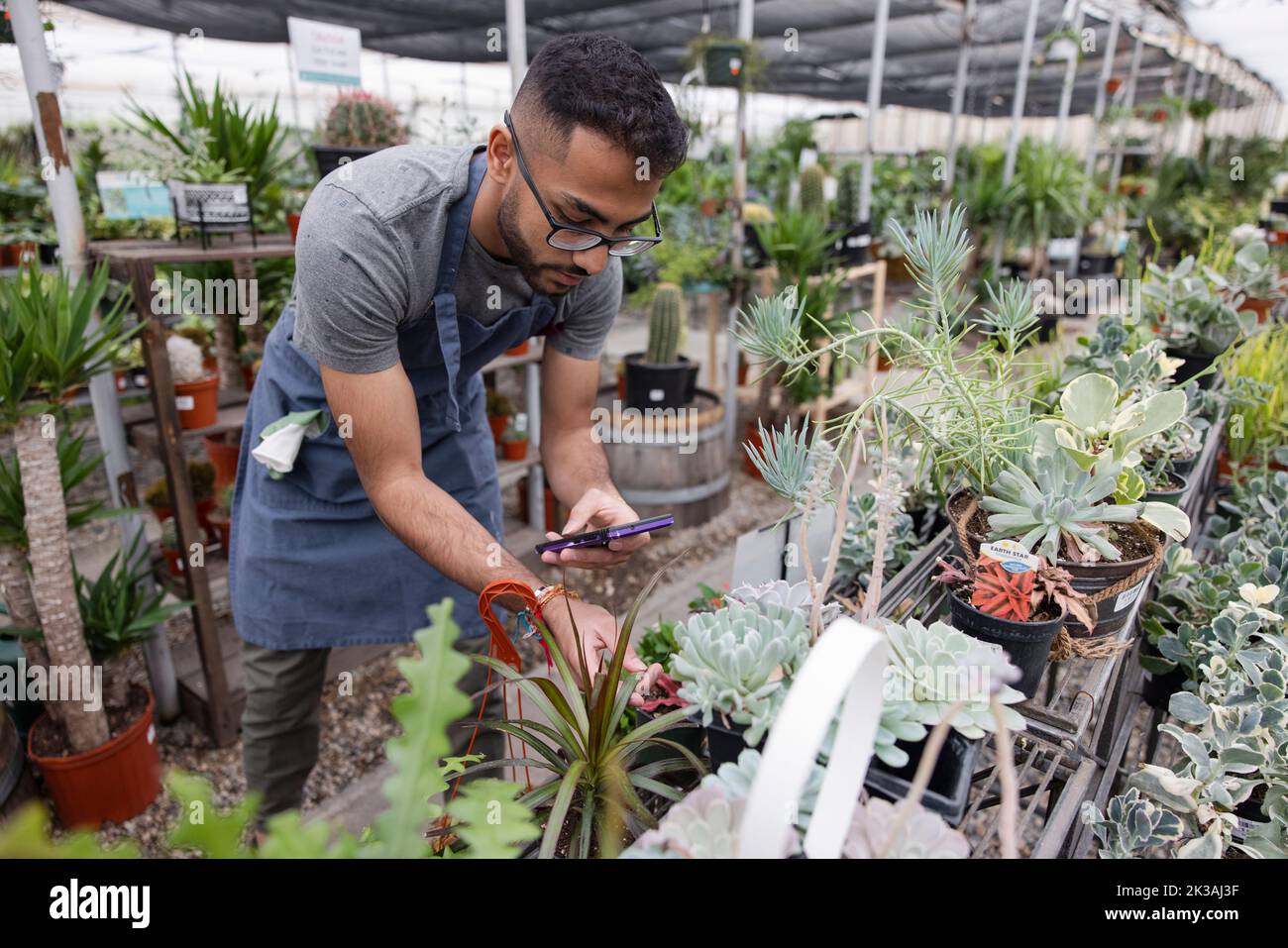 Bending plant hi-res stock photography and images - Alamy