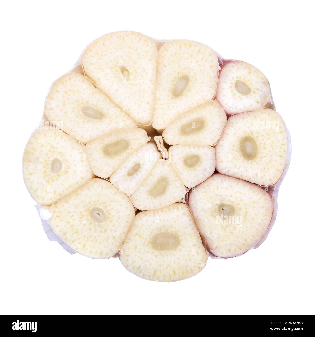 Natural Organic Garlic Cut Isolated on white background Stock Photo - Alamy