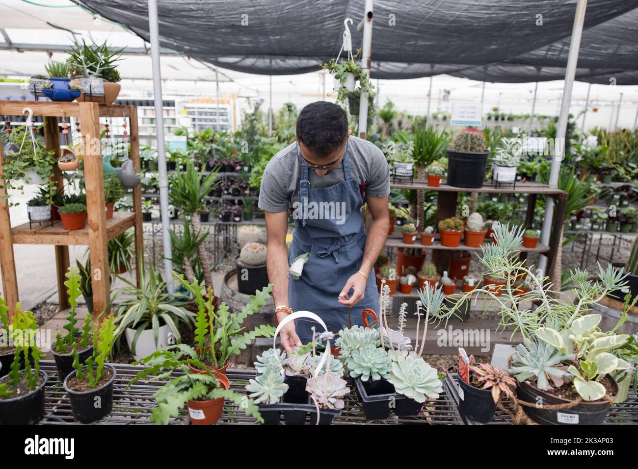Plants worker hi-res stock photography and images - Alamy