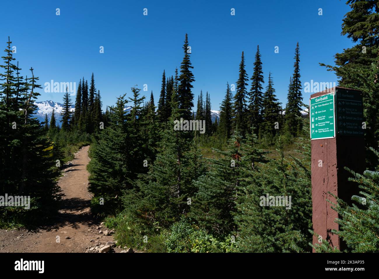 Signpost marking the hiking trails in the lush forests of British ...