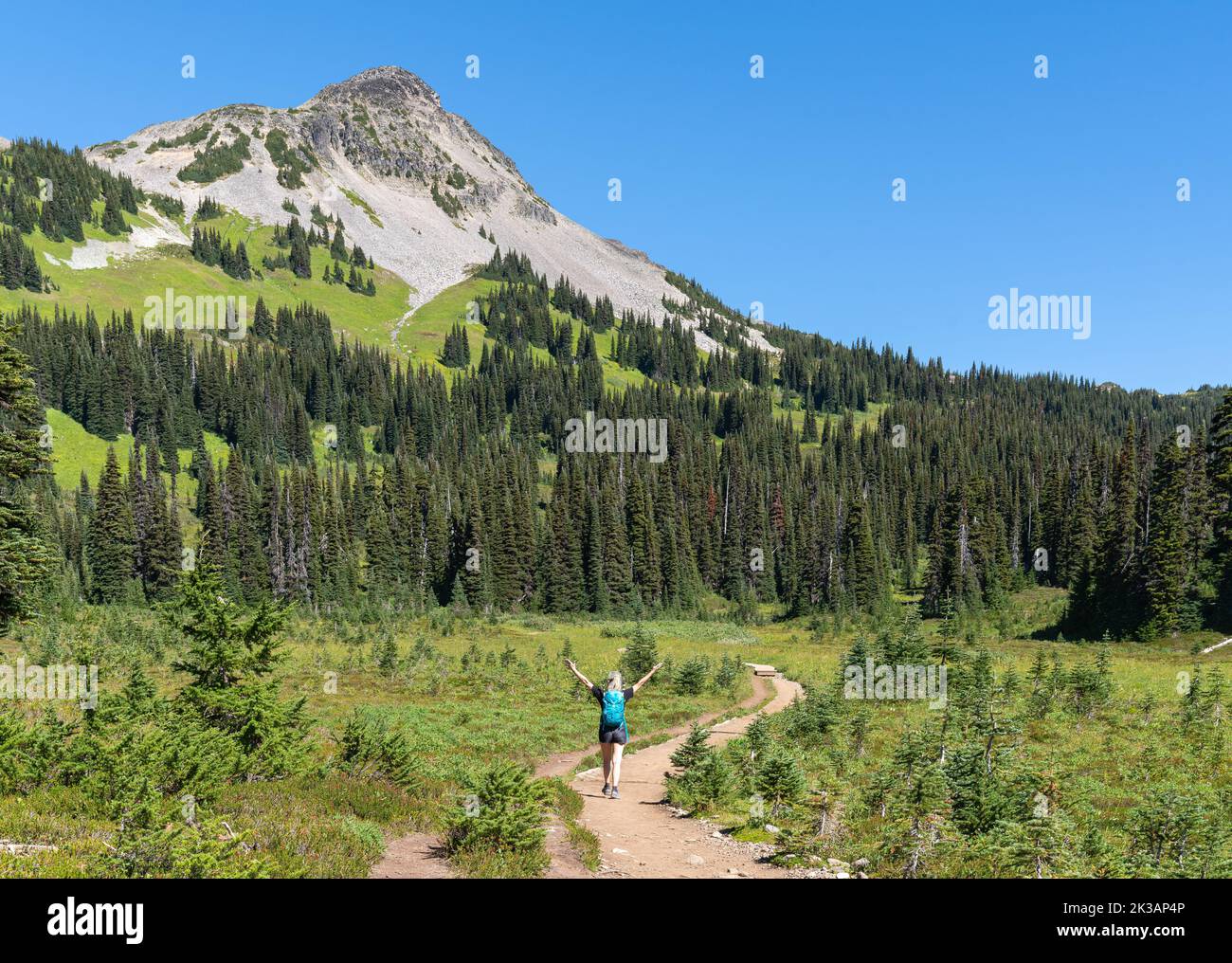 Woman hiking along a trail in Garibaldi Provincial Park during a ...