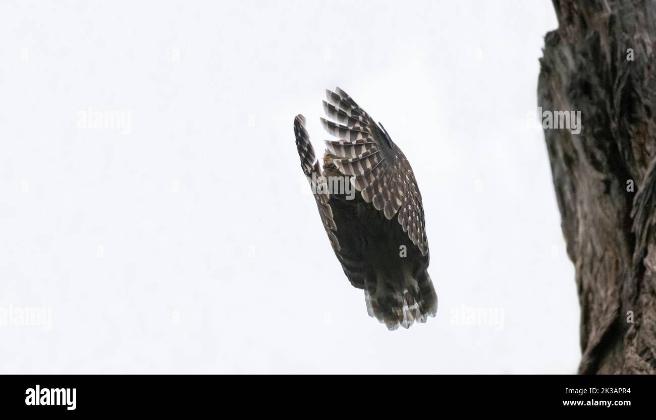 Very high resolution vertical hi-res stock photography and images - Alamy