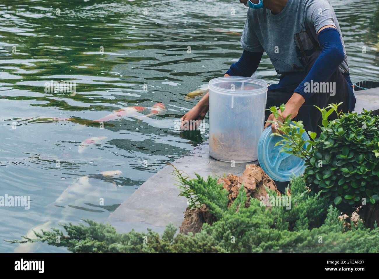 Asian male worker take care and feeding food by hand to his lovely pet ...