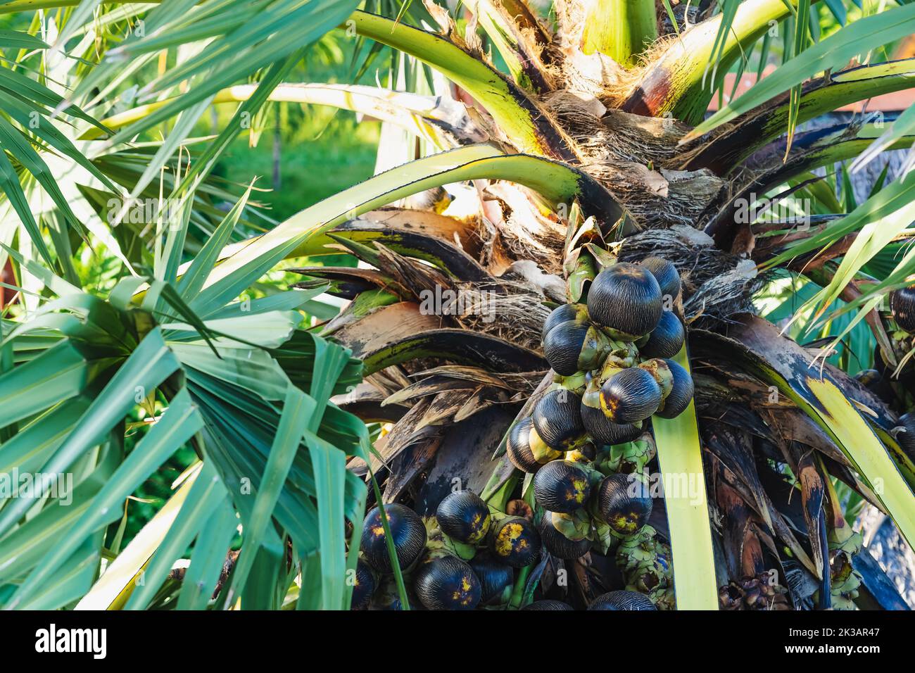 Tal health hi-res stock photography and images - Alamy