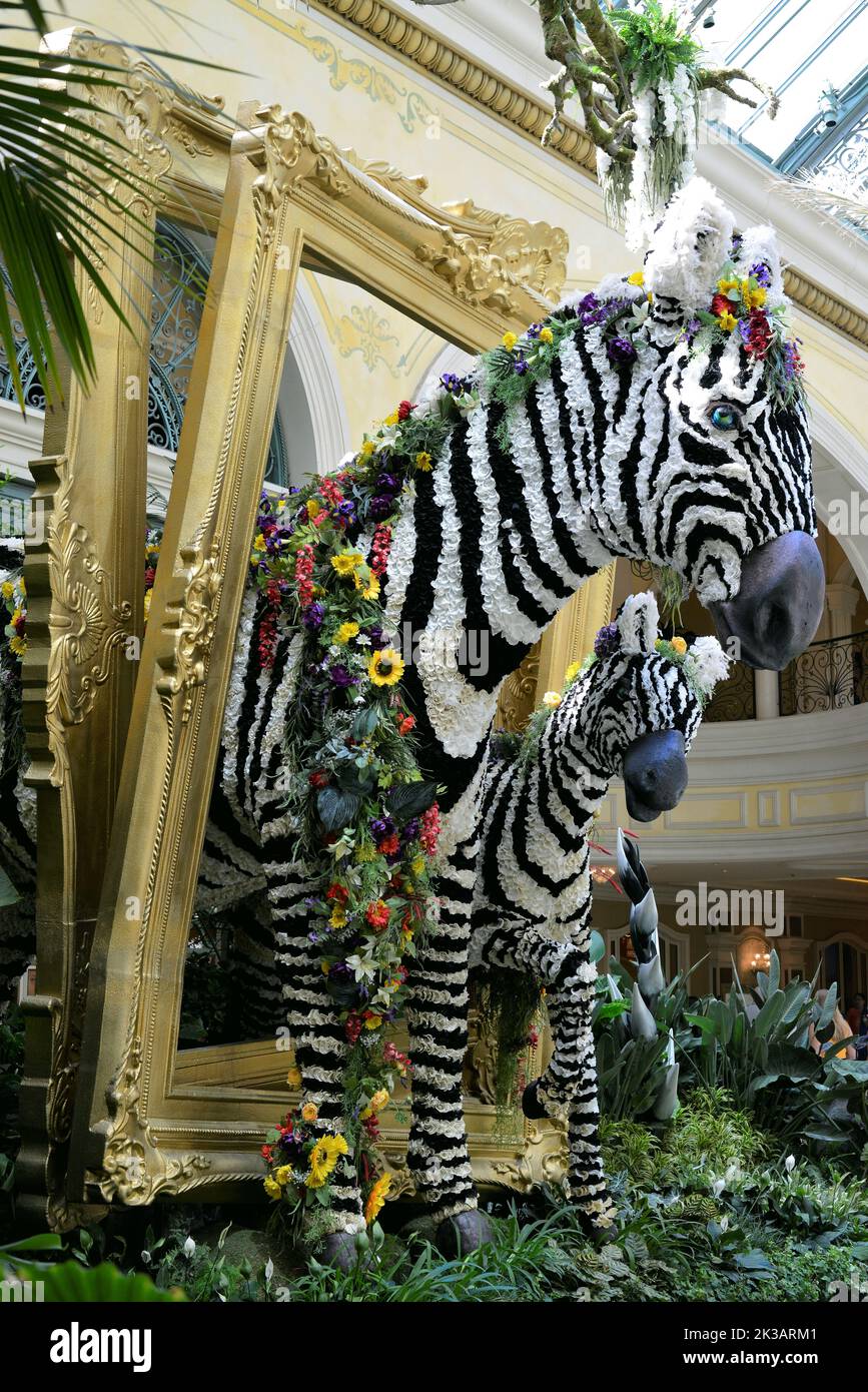 Botanical garden of the Bellagio hotel located on the Las Vegas Strip ...