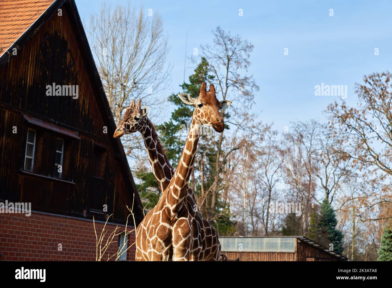 Walk in aviary hi-res stock photography and images - Alamy