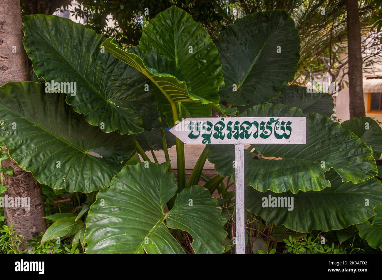 sign written in Khmer script in front of tropical vegetation. Nonmony ...