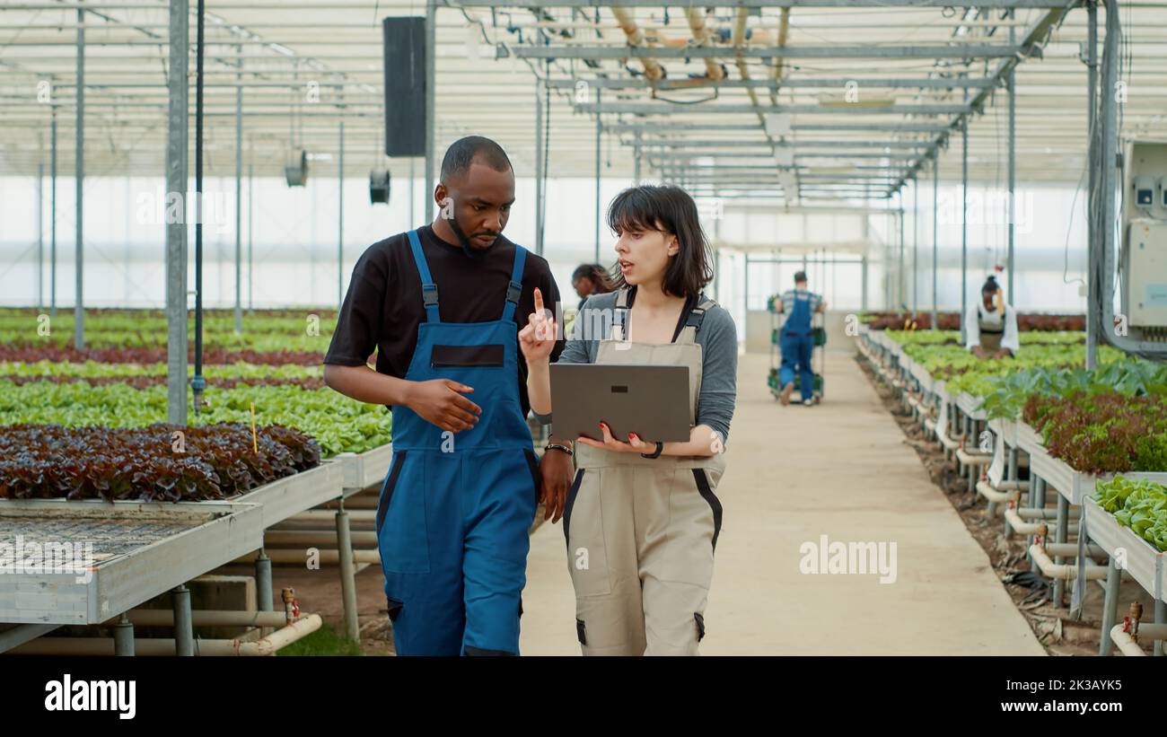 Greenhouse owner using laptop explaining to new african american worker ...