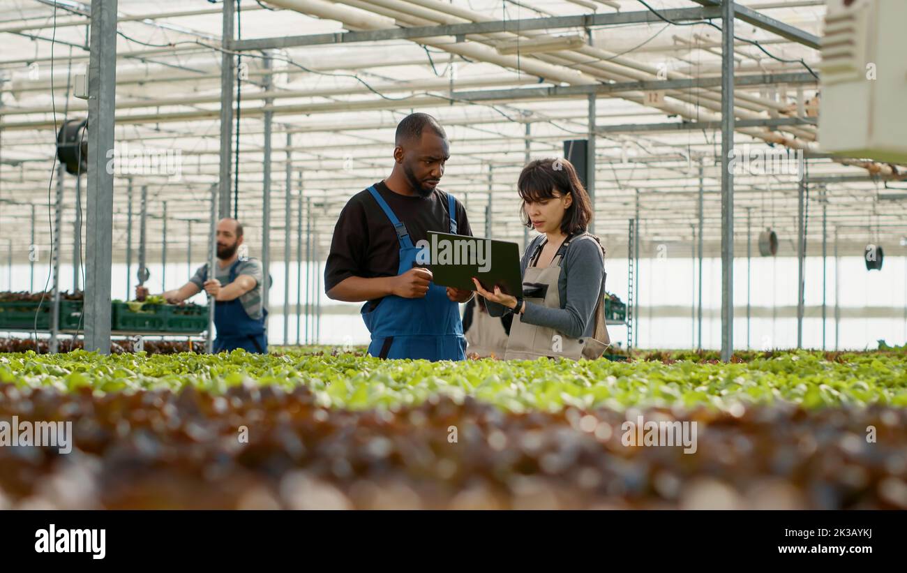 Two diverse organic farm workers using laptop with agricultural ...