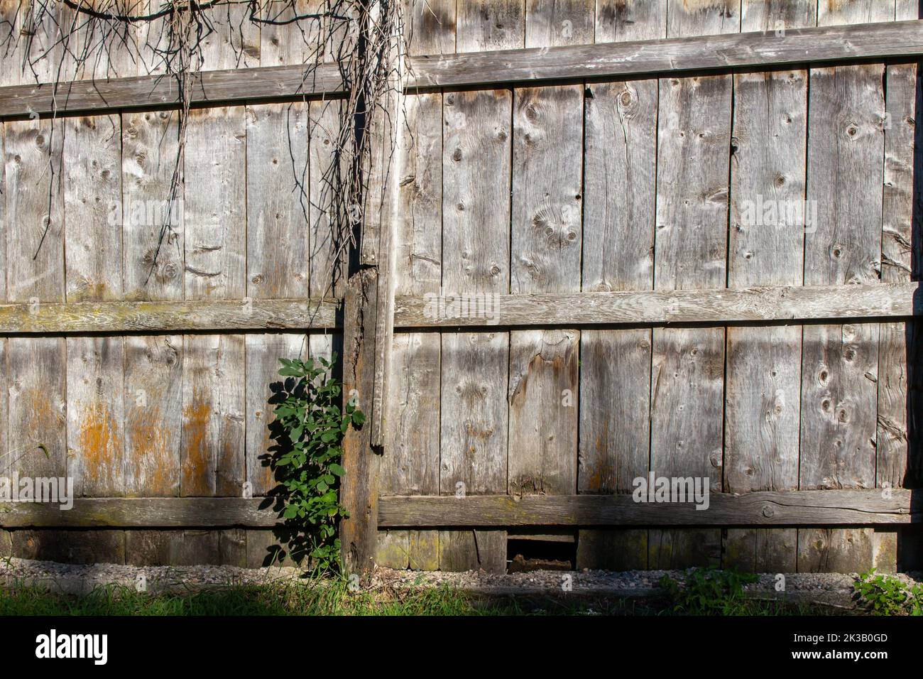 Abstract texture background of an unpainted rustic old wooden fence ...