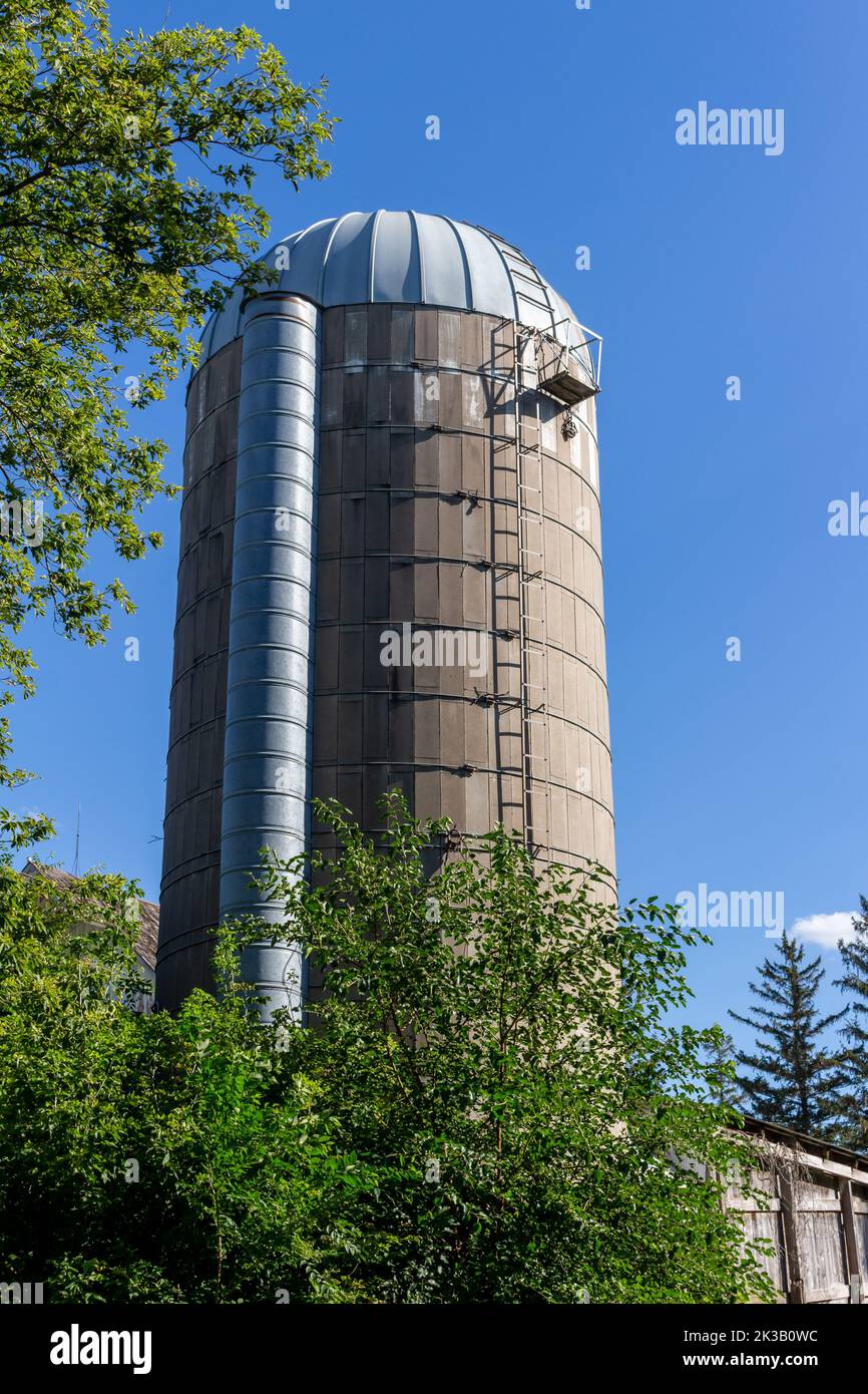 Close up tree-lined view of a vintage round concrete wall silo with a ...
