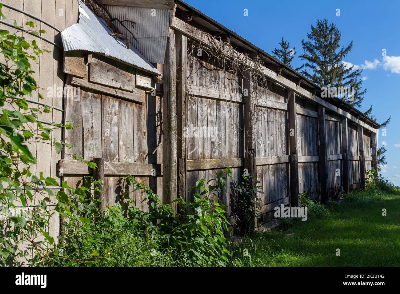 Abstract texture background of an unpainted rustic old wooden farm shed ...
